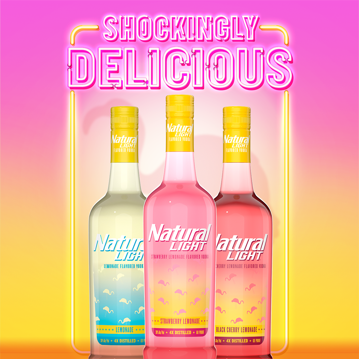 Find Natty Vodka Near You! - Wisconsin Distributors